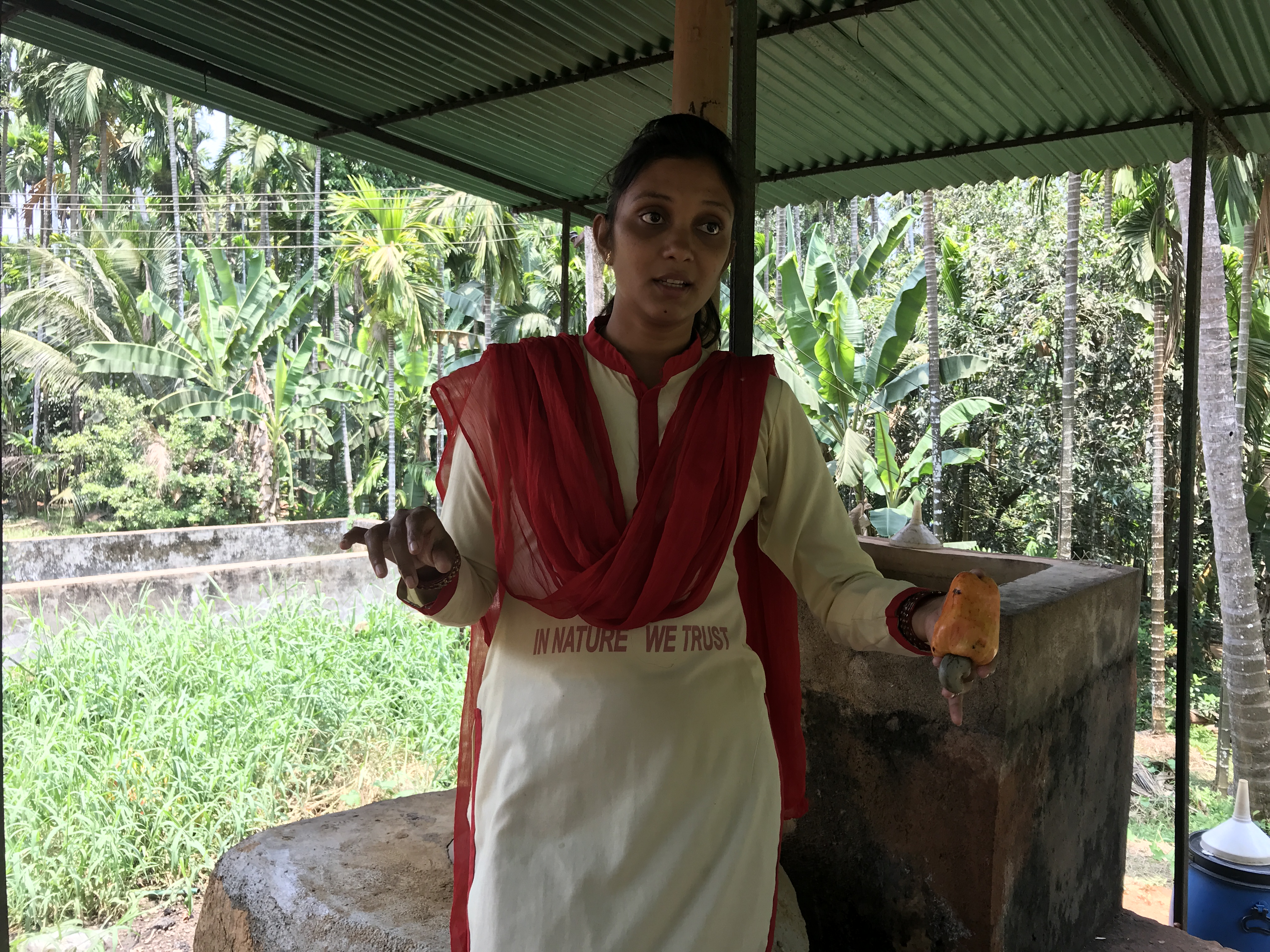 feni distilling goa | That Goan Girl