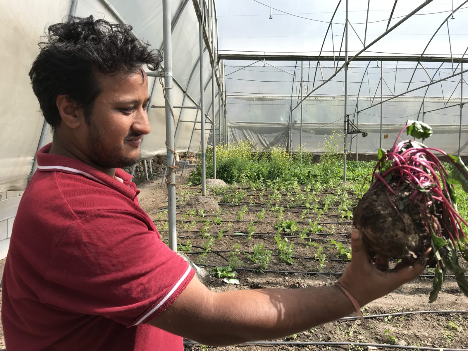 The Pahadi Organic – An Immersive Cultural Experience And Stay In ...