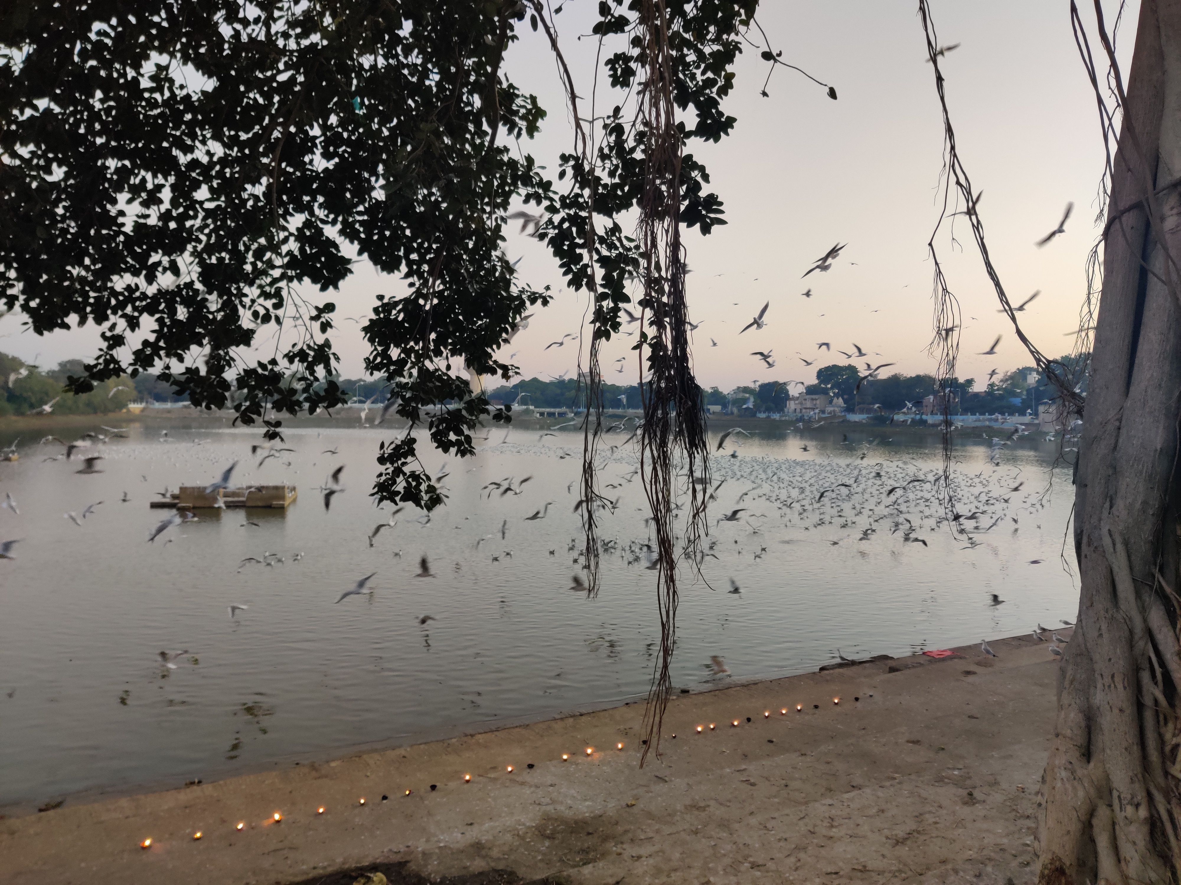 things to do in mandvi | That Goan Girl