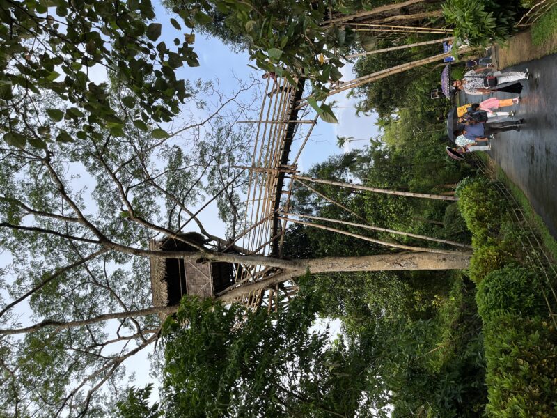 The Ultimate Guide to Mawlynnong - Asia's Cleanest Village - That Goan Girl