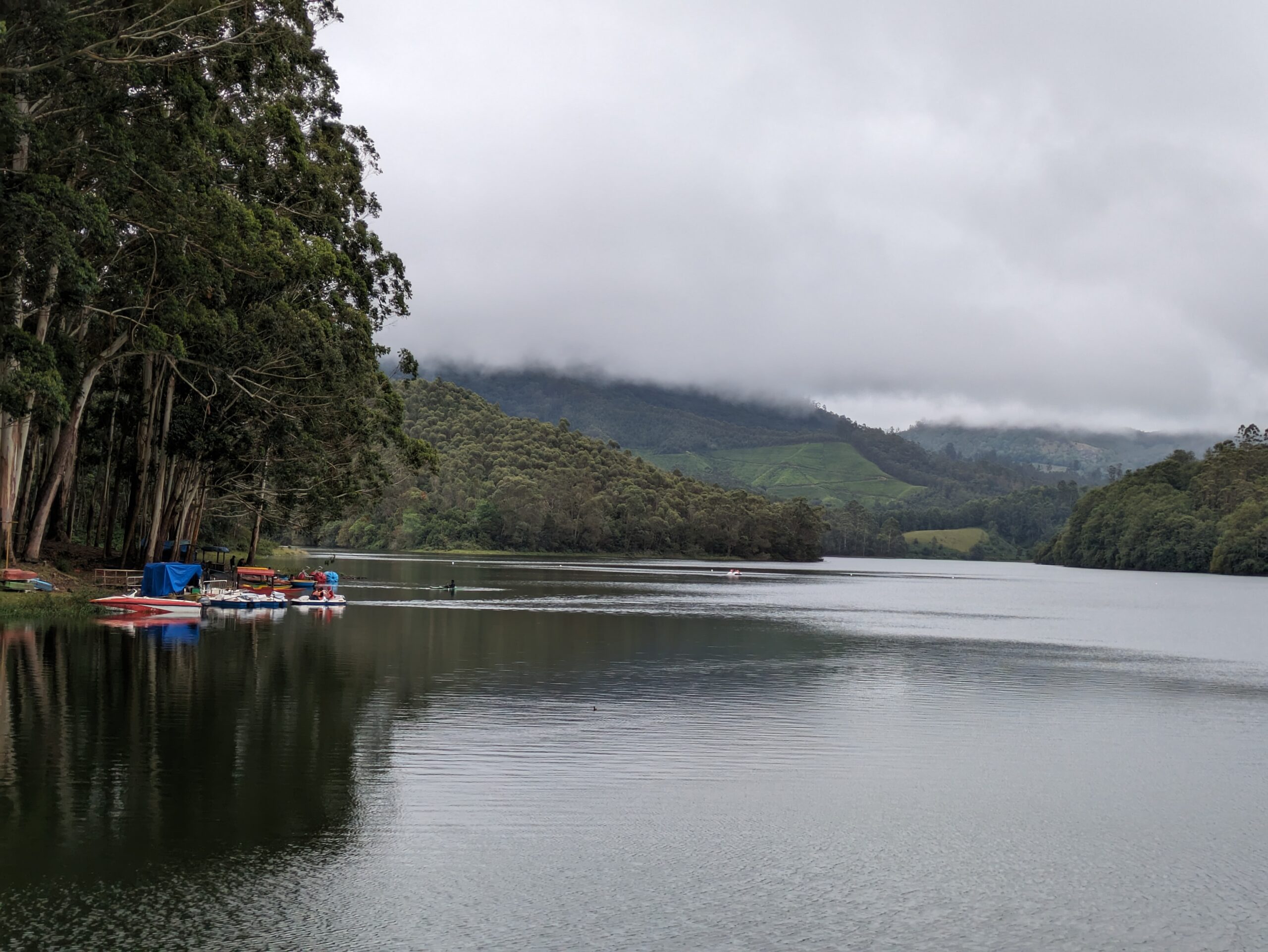 Mattupetty-Lake-Munnar | That Goan Girl